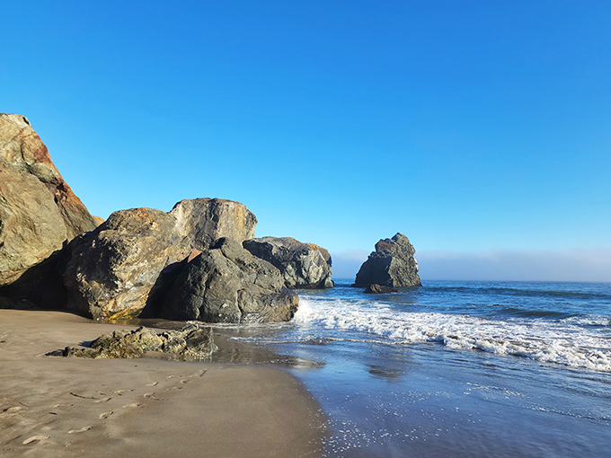 Nature's sculpture garden emerges at low tide. These dramatic rock formations look like they've been waiting millennia just for your Instagram feed.