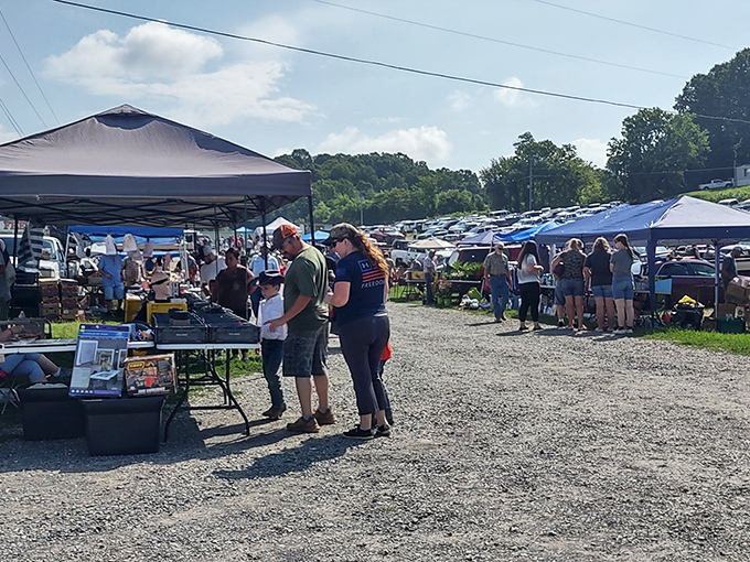 The modern-day town square where strangers become neighbors. Under these blue canopies, conversations flow as freely as the bargains on a perfect Tennessee morning.