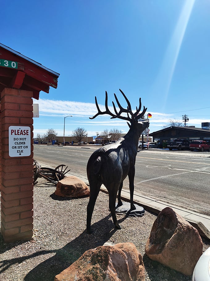 "Please don't climb on elk" reads the sign—advice I'd generally follow even without the reminder. This metal sentinel watches over Seligman with antlered dignity.