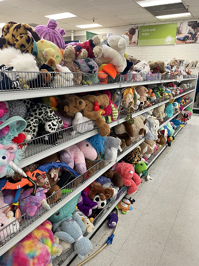 The stuffed animal adoption center, where forgotten teddy bears and plush pals wait for their second chance at cuddle stardom.
