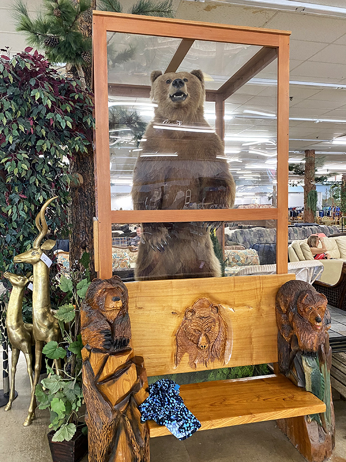 The store's namesake stands guard in taxidermied splendor, silently judging your furniture choices from his wooden throne.