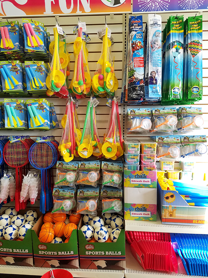 Summer fun arsenal that costs less than one theme park snack. Water guns, badminton sets, and beach balls&mdash;the holy trinity of "keep the kids entertained" salvation.