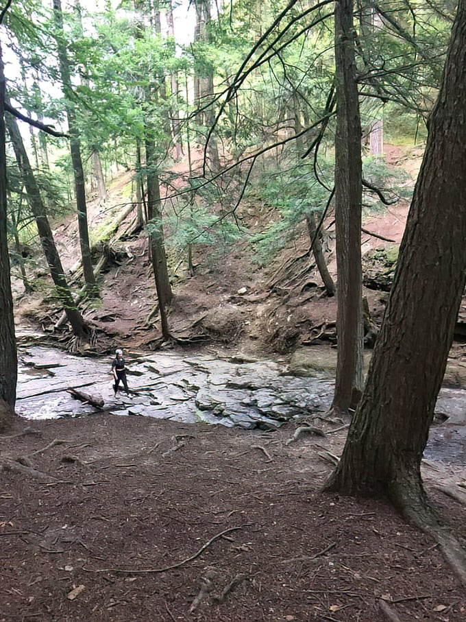 Sunlight filters through the hemlock canopy, creating nature's own stained-glass effect on this peaceful swimming hole where time seems to stand perfectly still.