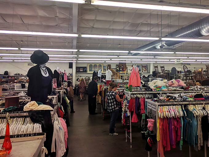 The fashion runway of the budget-conscious, where vintage finds mingle with last season's castoffs in perfect harmony.