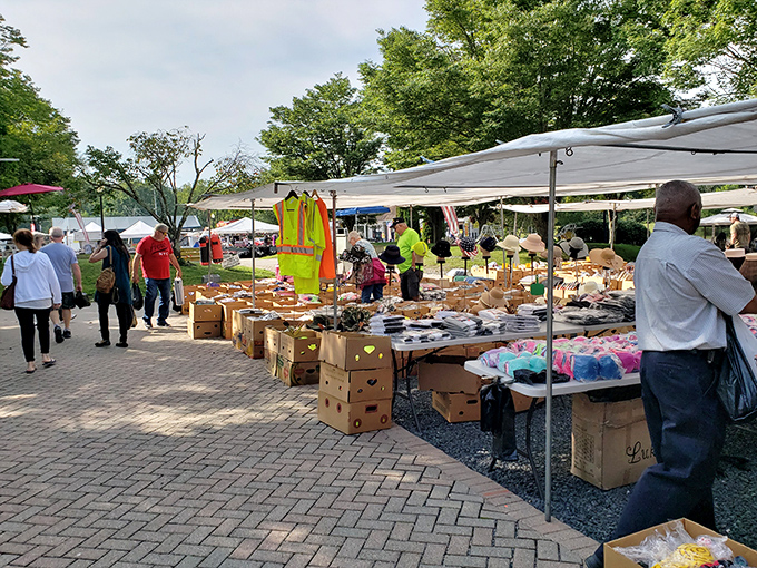 The outdoor market section buzzes with activity on sunny days, where haggling is an Olympic sport and everyone wins medals.