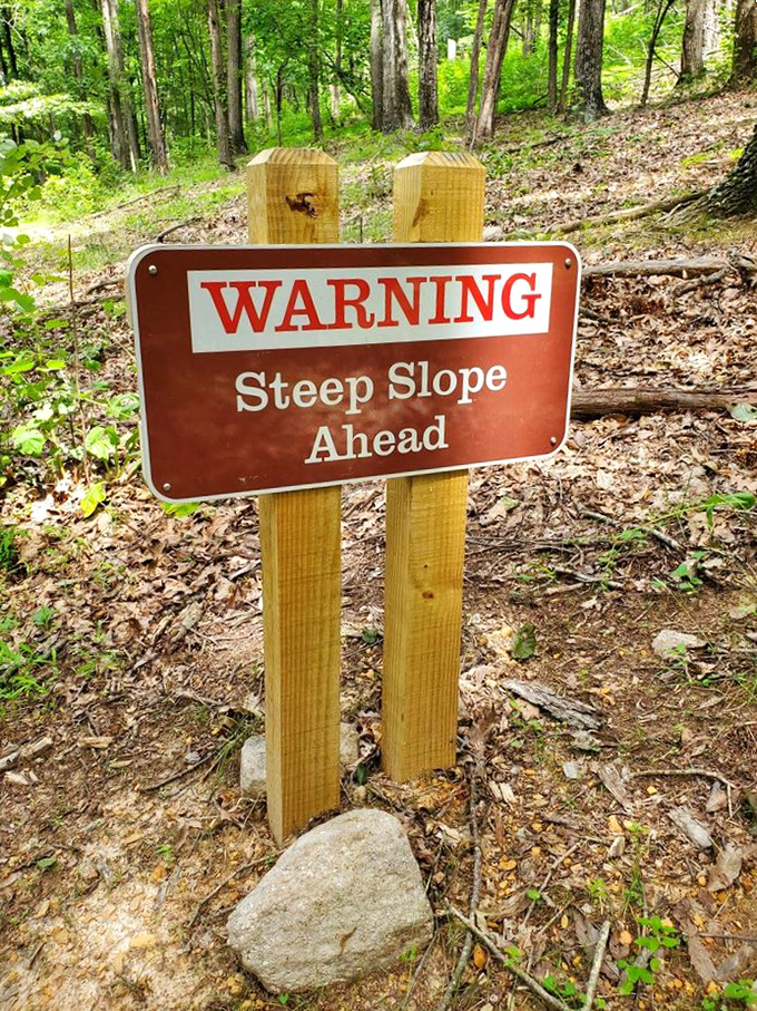 Trail signs that speak the truth &ndash; because honesty about steep climbs builds character and strong calves.