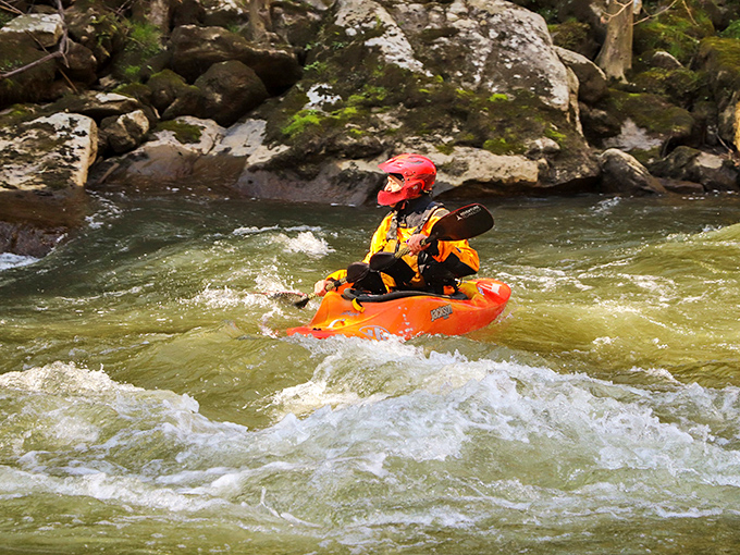 Whitewater warriors navigate Slippery Rock Creek's challenging rapids, proving that Pennsylvania's version of extreme sports doesn't require mountains.