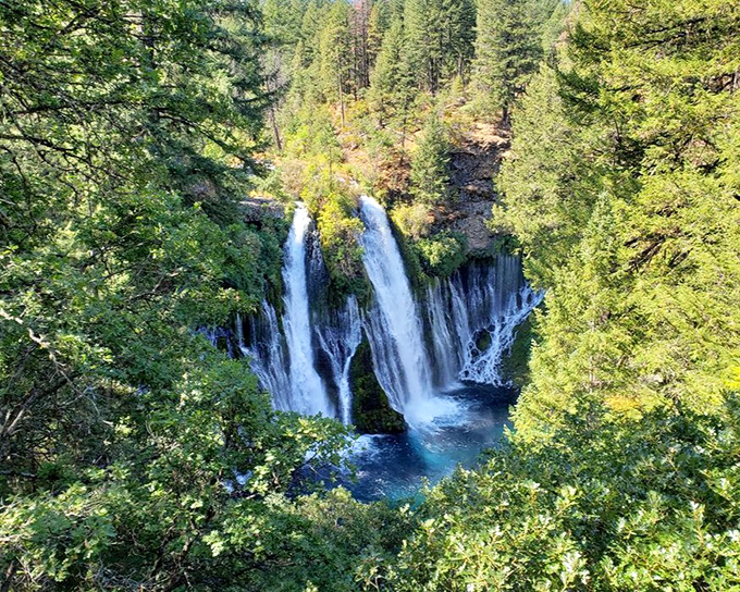 From this vantage point, Burney Falls looks like Mother Nature decided to show off what she could do with a cliff face and unlimited water budget.