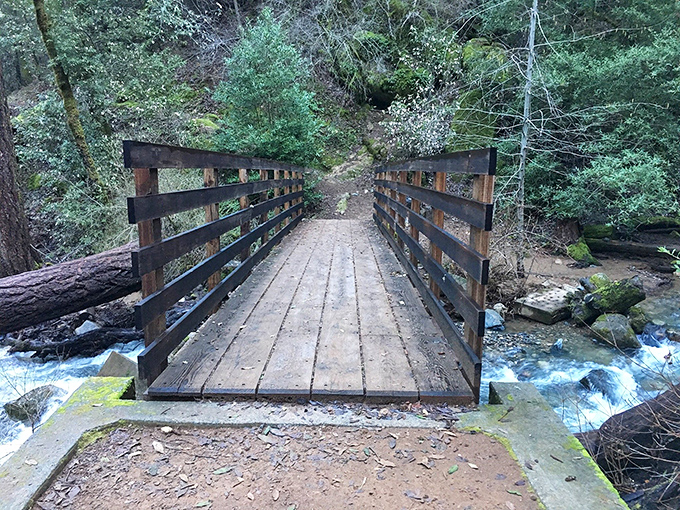 This rustic wooden bridge isn't just crossing a creek; it's the gateway between ordinary life and the extraordinary world of Feather Falls.