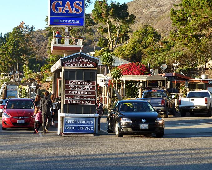 Big Sur's dramatic coastline doesn't just take your breath away—it replaces it with something purer and wilder.
