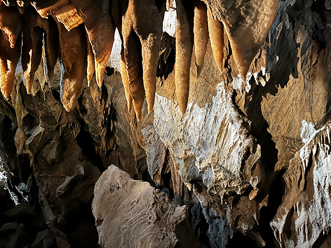 Black Chasm's crystal-covered ceiling sparkles like an upside-down galaxy. Nature's version of Swarovski, but with a few million years' head start.