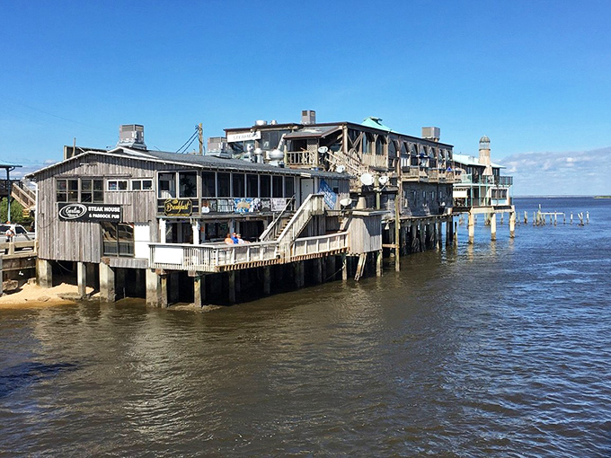 Cedar Key's waterfront buildings look like they've been marinating in Gulf breezes and sunshine for decades. That's the secret ingredient to perfect coastal charm.