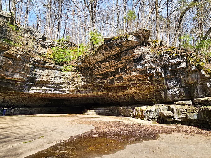 Dunbar Cave's massive entrance looks like Mother Nature's grand foyer. Ancient peoples knew a good hangout spot when they saw one.