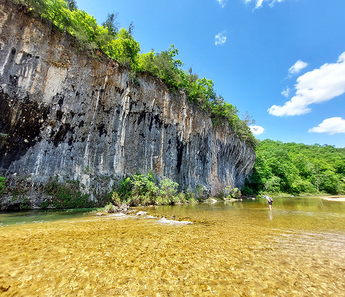 Echo Bluff's towering limestone wall stands like nature's own cathedral. Just wait until you hear your voice bounce back!