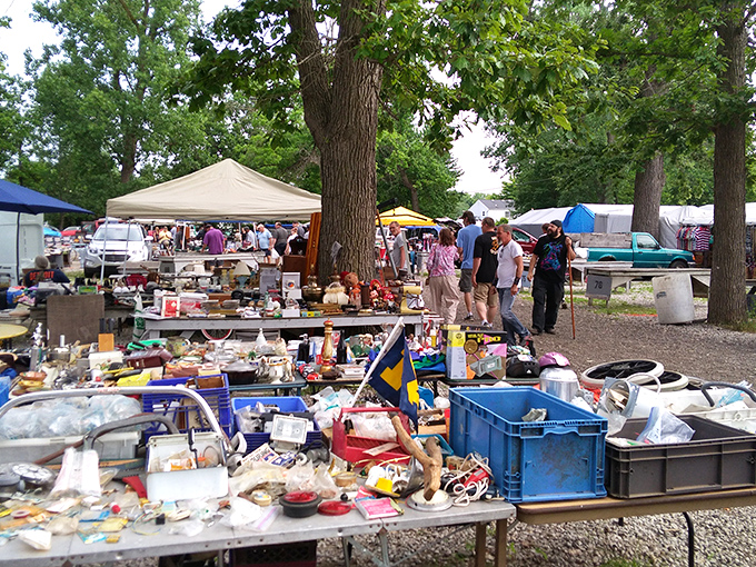 Greenlawn Grove Flea Market: Tables laden with possibilities under a canopy of trees. Every item here has a story&mdash;some better left untold!