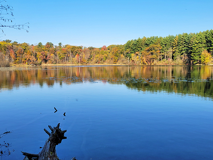 Hartman Creek's crystal waters are so clear, the fish are probably embarrassed about their lack of privacy.
