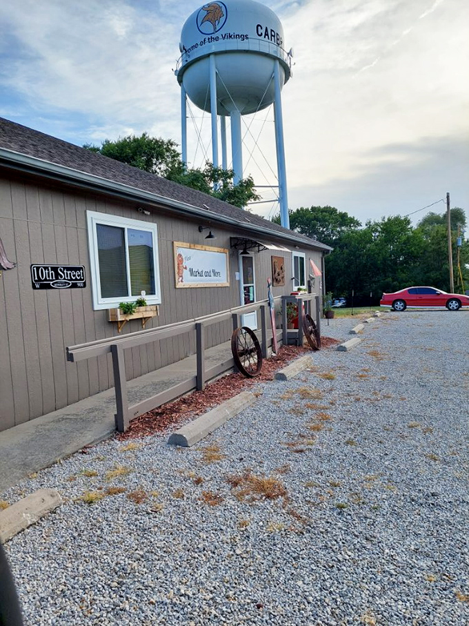 5a. hooterville flea market (carbondale)