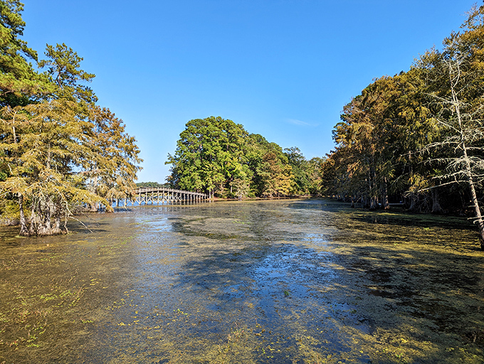 Cypress sentinels stand guard at Martin Dies Jr. State Park. This watery wonderland makes you feel like you've wandered onto the set of "The Notebook."