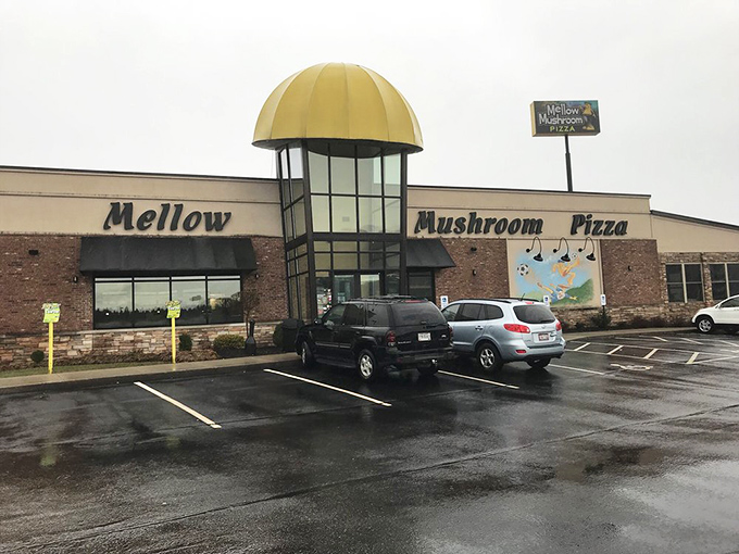 That giant yellow mushroom cap isn't a hallucination&mdash;it's the gateway to pizza with personality in Wilder.