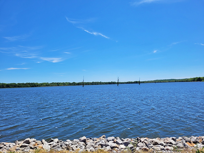 Reflective moments! Mermet Lake's calm surface captures the sky in perfect detail, creating a meditation spot worth driving for.