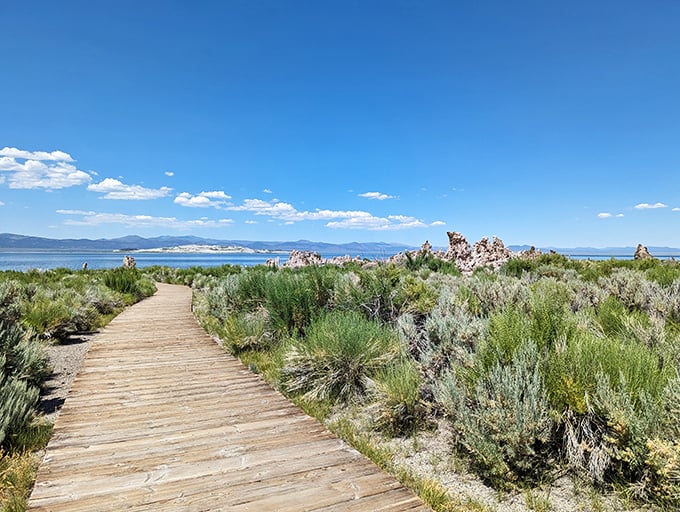 Otherworldly tufa towers rise from alkaline waters, creating a landscape that belongs on Mars.