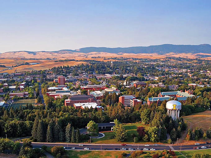 From this vantage point, Moscow reveals its perfect blend of college-town energy and affordable small-town living.