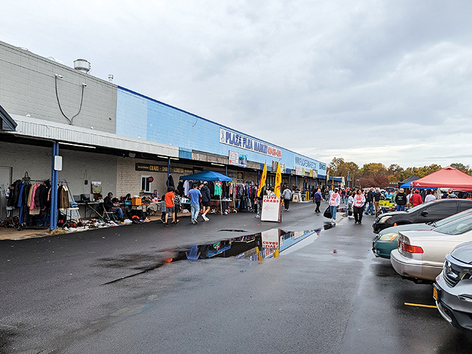 Outdoor market bustle where community spirit meets commerce under the open Maryland sky perfectly. 
