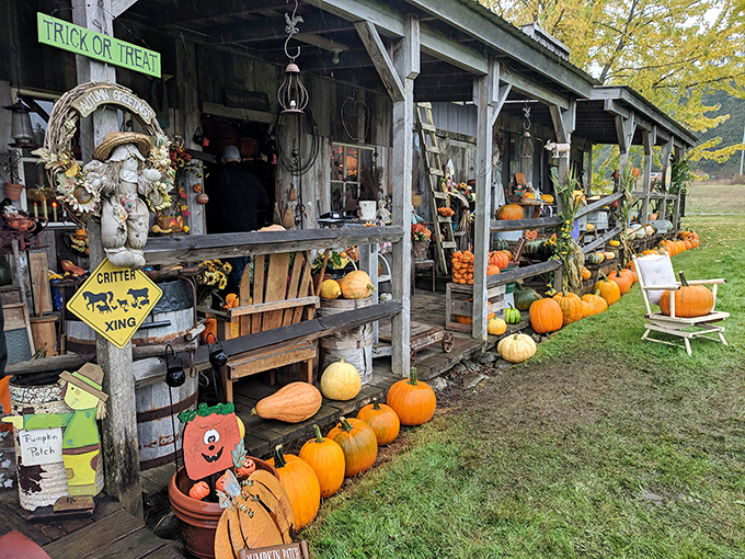 Pumpkin patch perfection! Fall's orange ambassadors welcome shoppers to this rustic wonderland of seasonal treasures and timeless finds.
