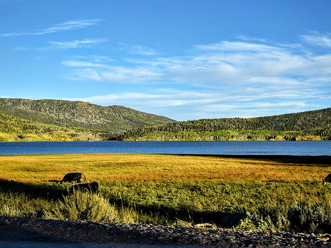 Richfield's modern municipal buildings blend seamlessly with mountain views, offering small-town governance with big-time natural scenery.