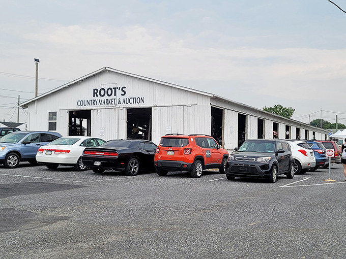 Root's white farmhouse exterior belies the treasure trove within&mdash;Lancaster County's worst-kept secret for bargain hunters.