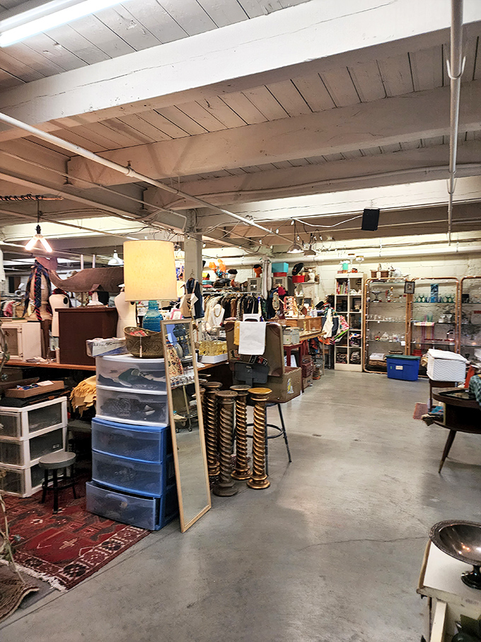 Explore a treasure hunter's paradise filled with eclectic antiques, unique fashion finds, and vintage decor waiting for your personal touch.