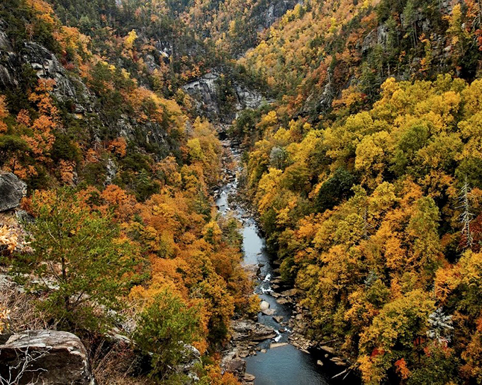 Tallulah Gorge in autumn is nature's fireworks display &ndash; a riot of color that makes you forget to check your phone.