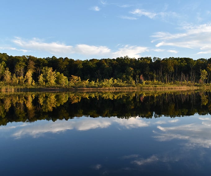 Trine State Recreation Area's mirror-like waters double the beauty of every cloud and tree. Nature showing off again!