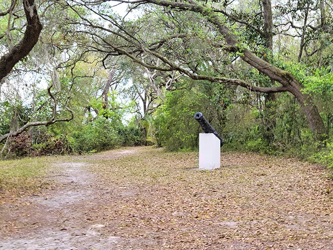 History hiding in plain sight! Yellow Bluff Fort's cannon stands as a silent storyteller of Florida's Civil War past.