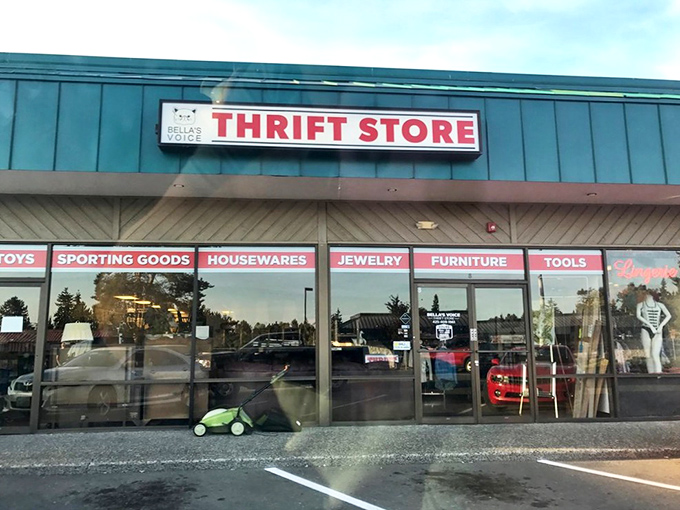 Behind these walls, animal lovers find treasures while supporting furry friends. Shopping karma doesn't get better than this!