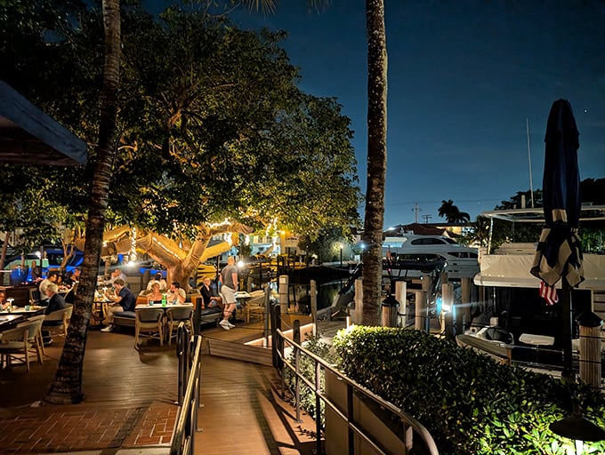 Dinner and a show, nature-style! Boatyard's evening ambiance transforms ordinary dining into a twinkling waterfront romance.
