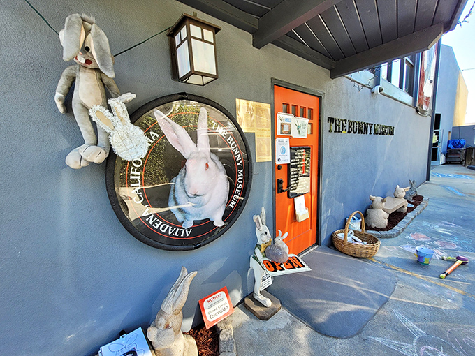 Bunny statues stand guard at this temple of rabbit worship, where "too many" is clearly not in the vocabulary.