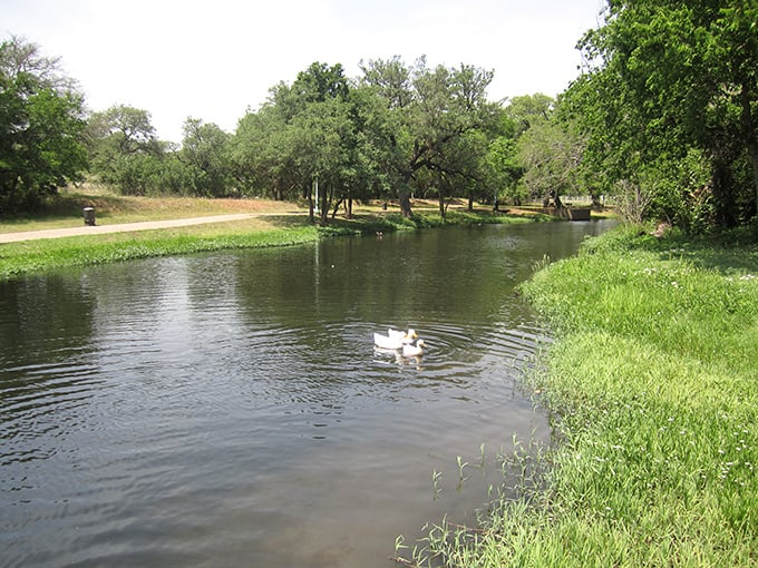 The historic Texas Theater in Burnet still lights up the night &ndash; offering entertainment at prices that won't make your Social Security check disappear.