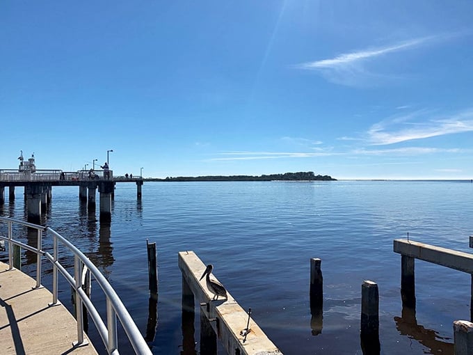 The kind of pier that makes you want to grab a fishing rod, even if you've never fished before. Cedar Key's waters practically invite you in.