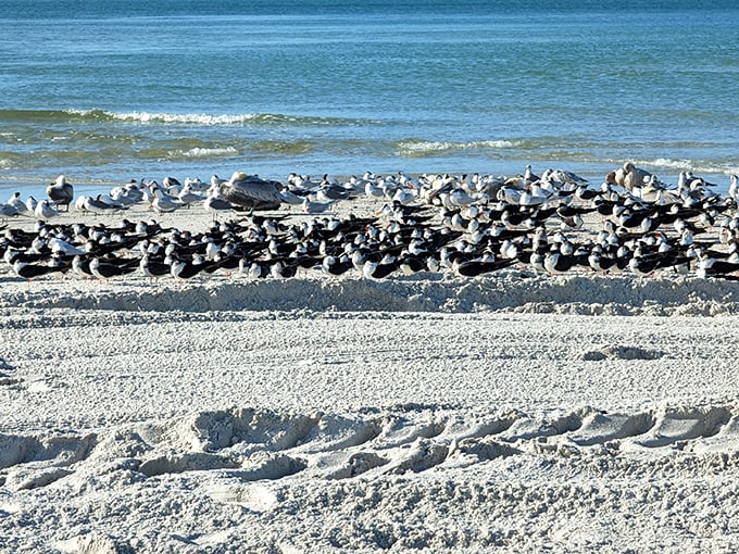 The gentle waves at Clam Pass are like nature's lullaby&mdash;soothing enough to make even the most stressed-out human relax.