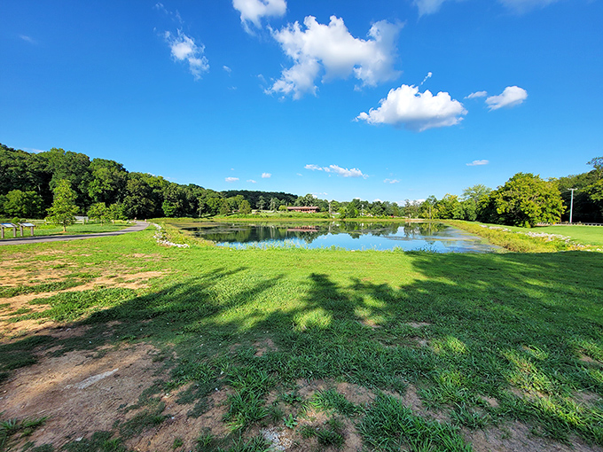 A geological masterpiece thousands of years in the making. Dunbar Cave's entrance is Tennessee's ultimate rock formation.
