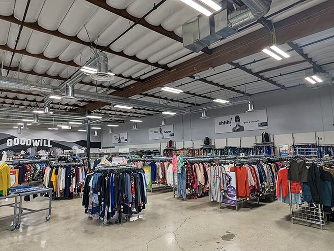 Wandering through Eco Thrift's clothing forest is like a safari where the prey is vintage band t-shirts and gently used jeans.