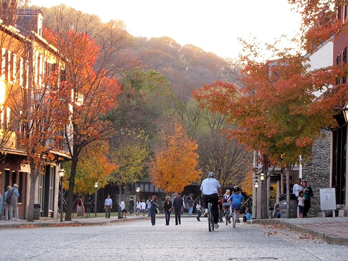 Fall in Harpers Ferry transforms the town into nature's art gallery, where even a simple stroll feels like walking through a painting.