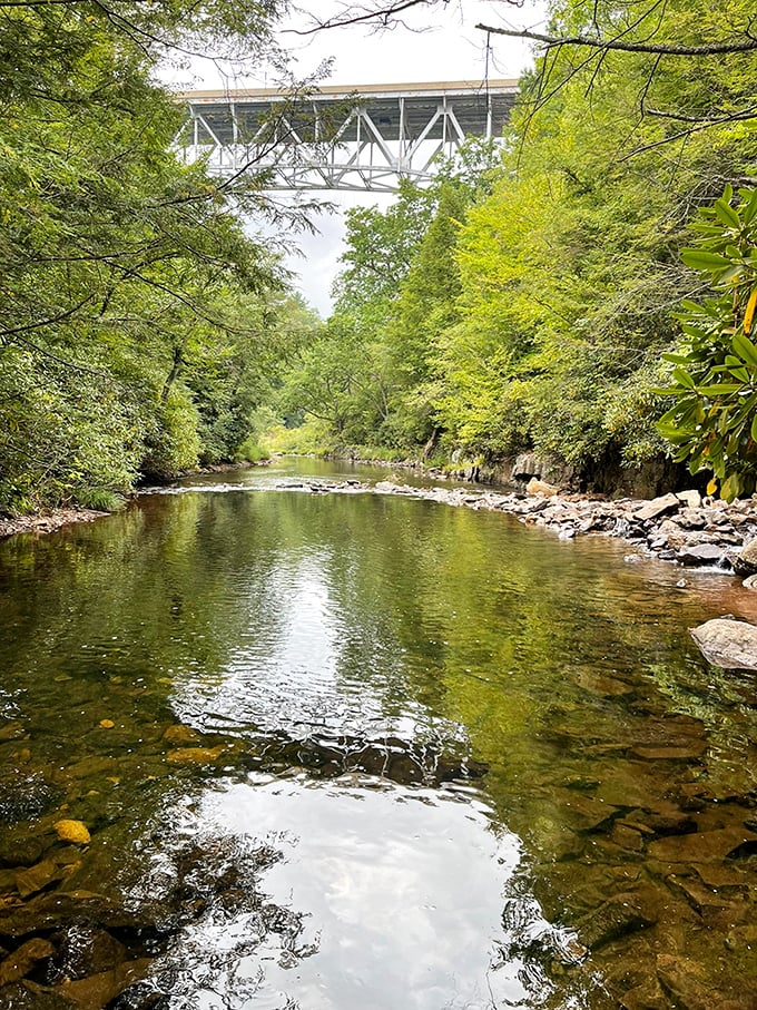 The clear waters at Hickory Run tell stories older than your grandparents' grandparents. Listen closely as you walk!
