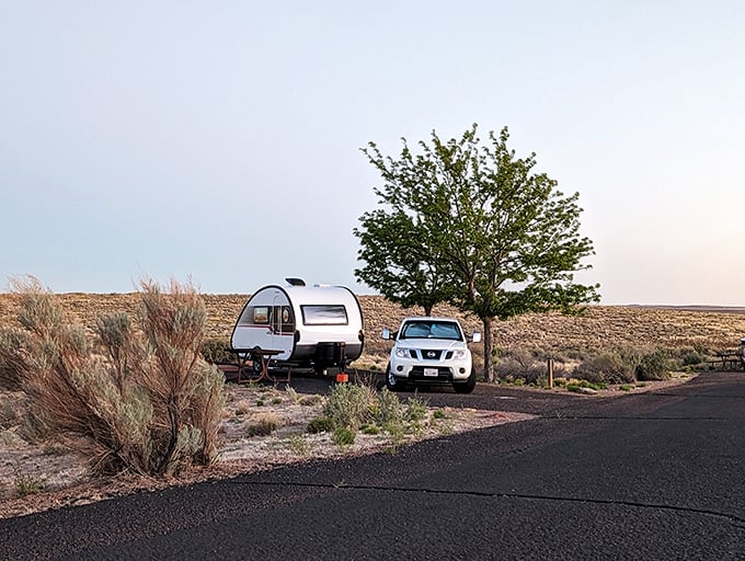 Wide open spaces and endless skies. This campsite at Homolovi offers social distancing the way nature intended it.