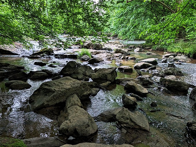 Landsford's historic waterway: engineering marvel by day, scenic wonder all the time.