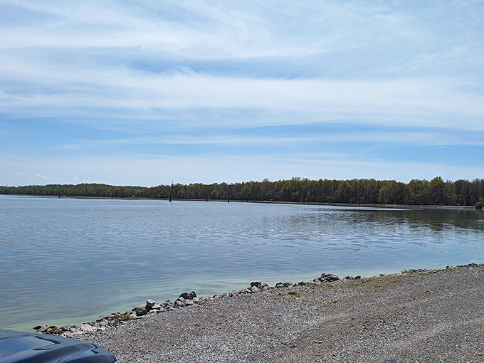 Spring awakening! Mermet Lake bursts with new green life as flowering trees frame the water with delicate pink and white blossoms.