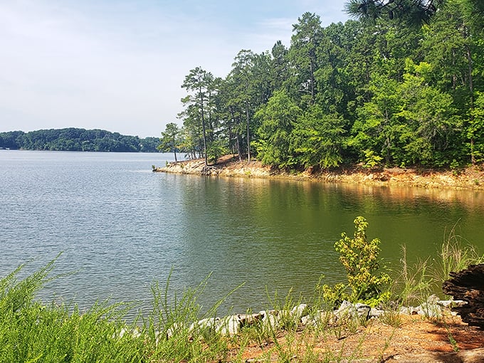 This peaceful pier at Occoneechee invites anglers to cast their lines and their cares into the sparkling blue beyond.