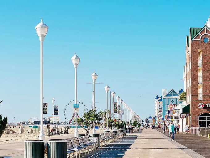 The perfect Ocean City morning: endless horizon, empty benches, and the promise that today might be the best day ever.