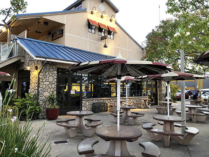 Redondo Beach's harbor gem proves that authentic seafood spots earn their character over time.